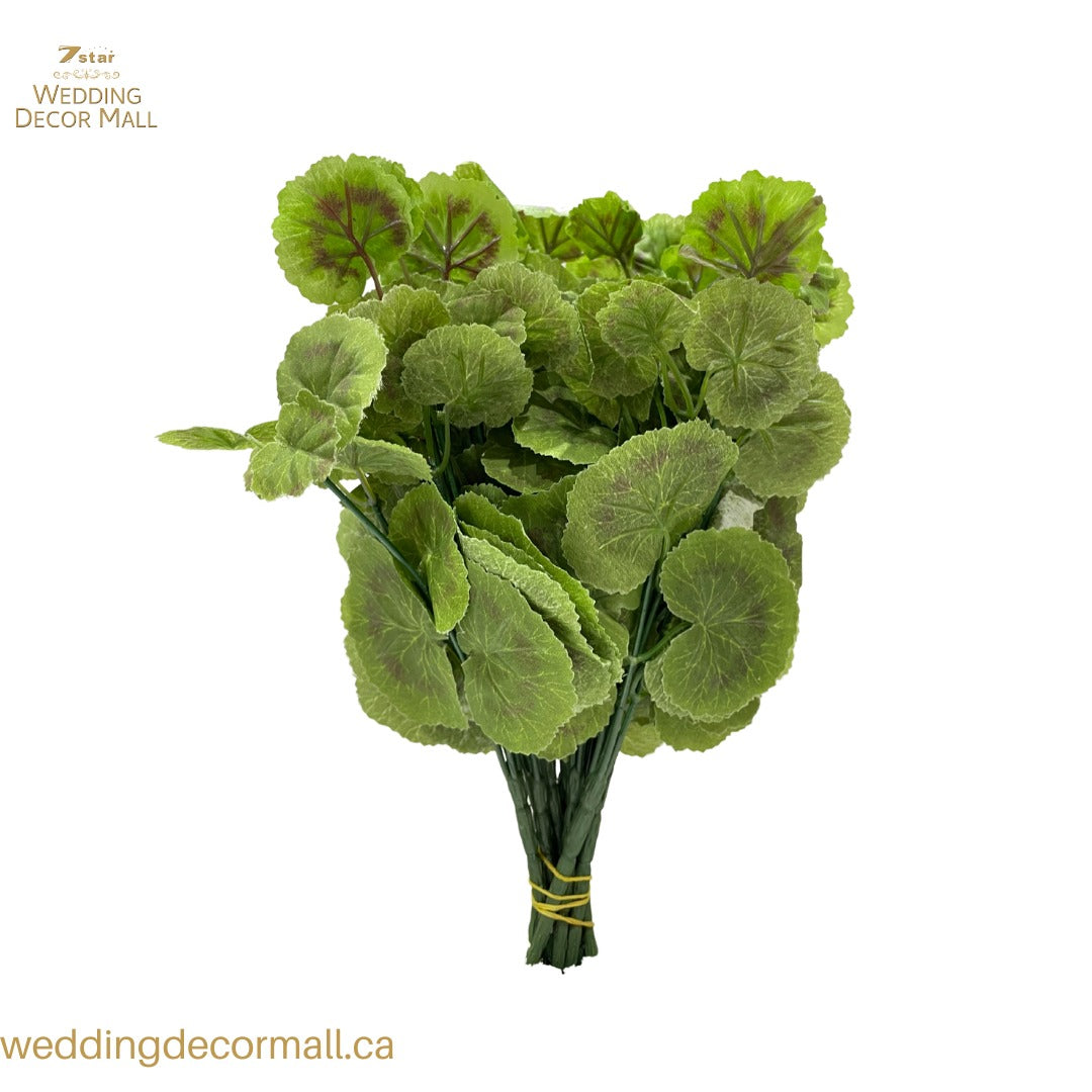 Centella asiatica (10 stems) – Wedding Decor Mall